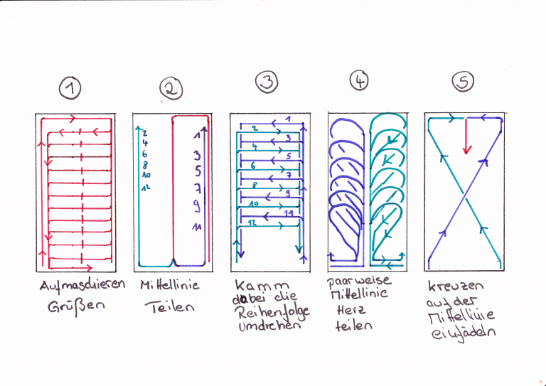 Quadrille zusammenstellen: Darauf kommt es an - Tipps zum Pferd