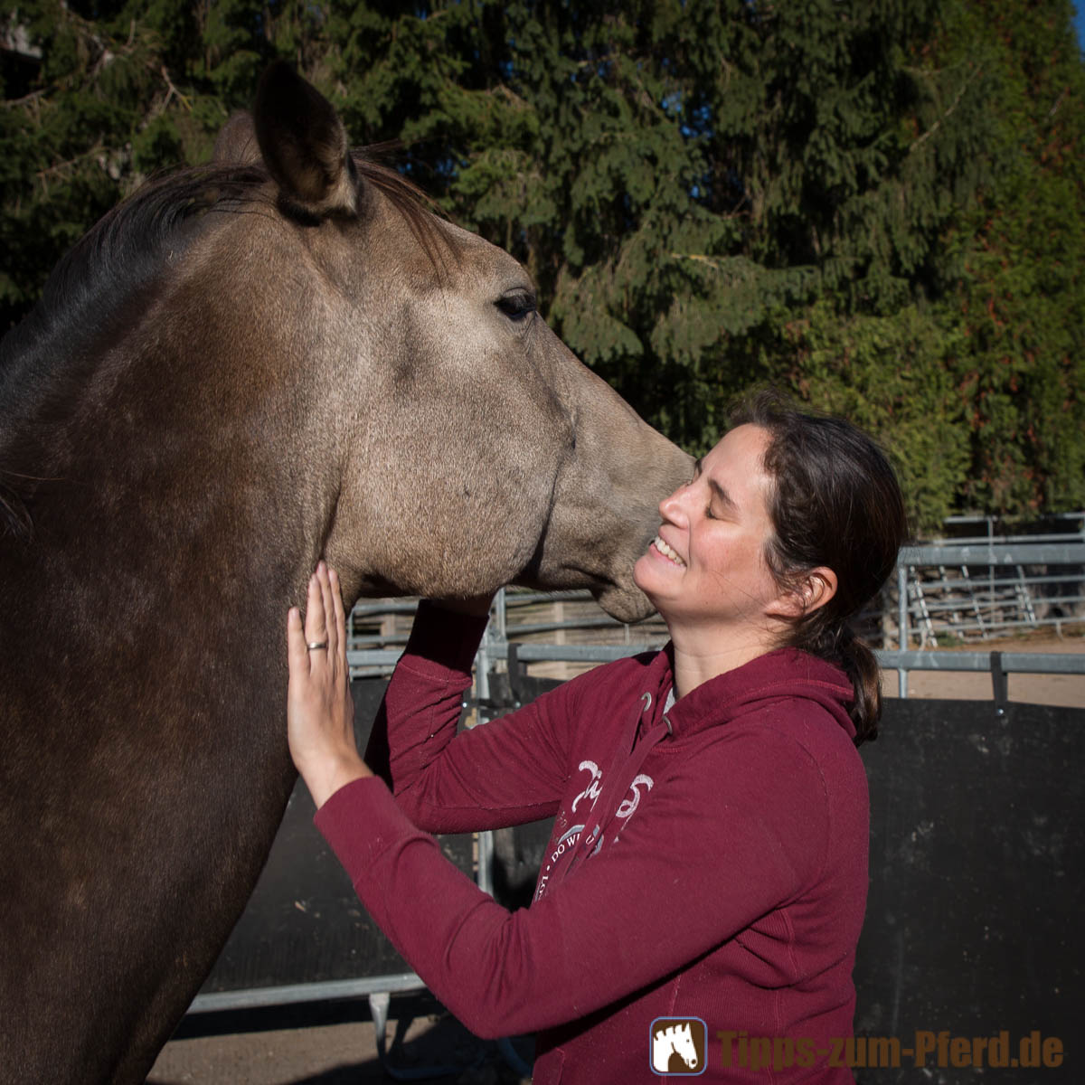 Tipps zum Pferd - Tipps rund um Reiten und Pferde: Western, Springen ...