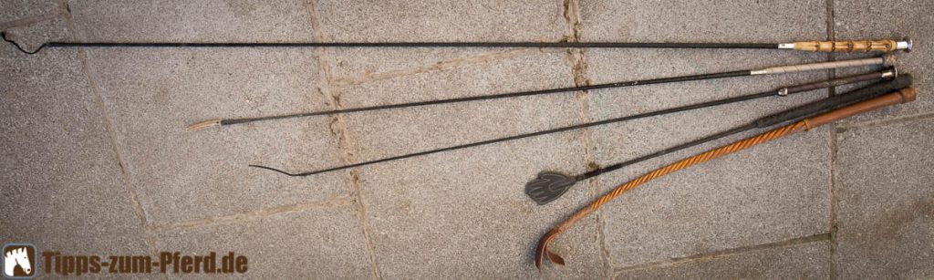 Reiten mit Gerte - die Grundlagen einfach erklärt - Tipps zum Pferd