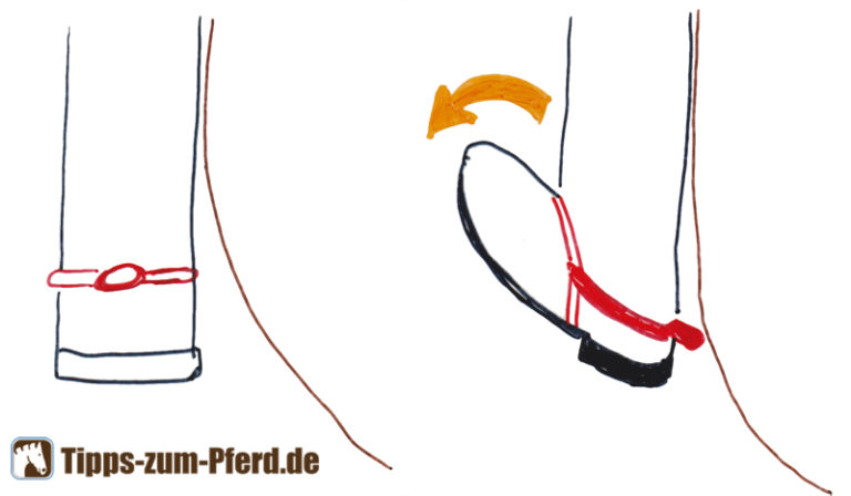 Sporen - wann verwenden und wie einsetzen (GRUNDLAGEN) - Tipps zum Pferd